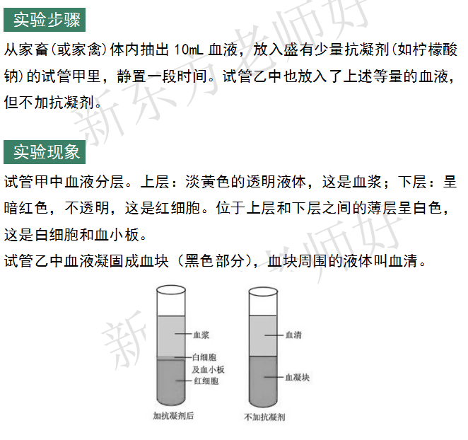 2023中考生物实验操作易错点归纳：实验十五 实验验证血液的成分
